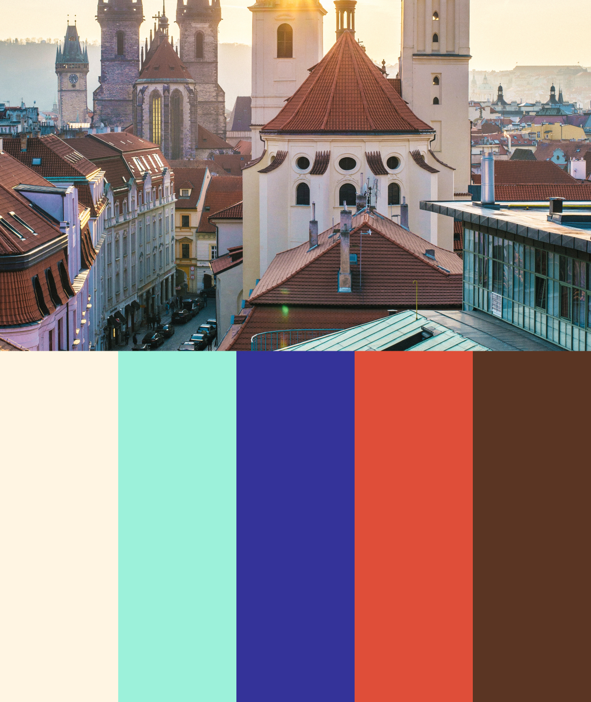 The Language House – Iconova Design
