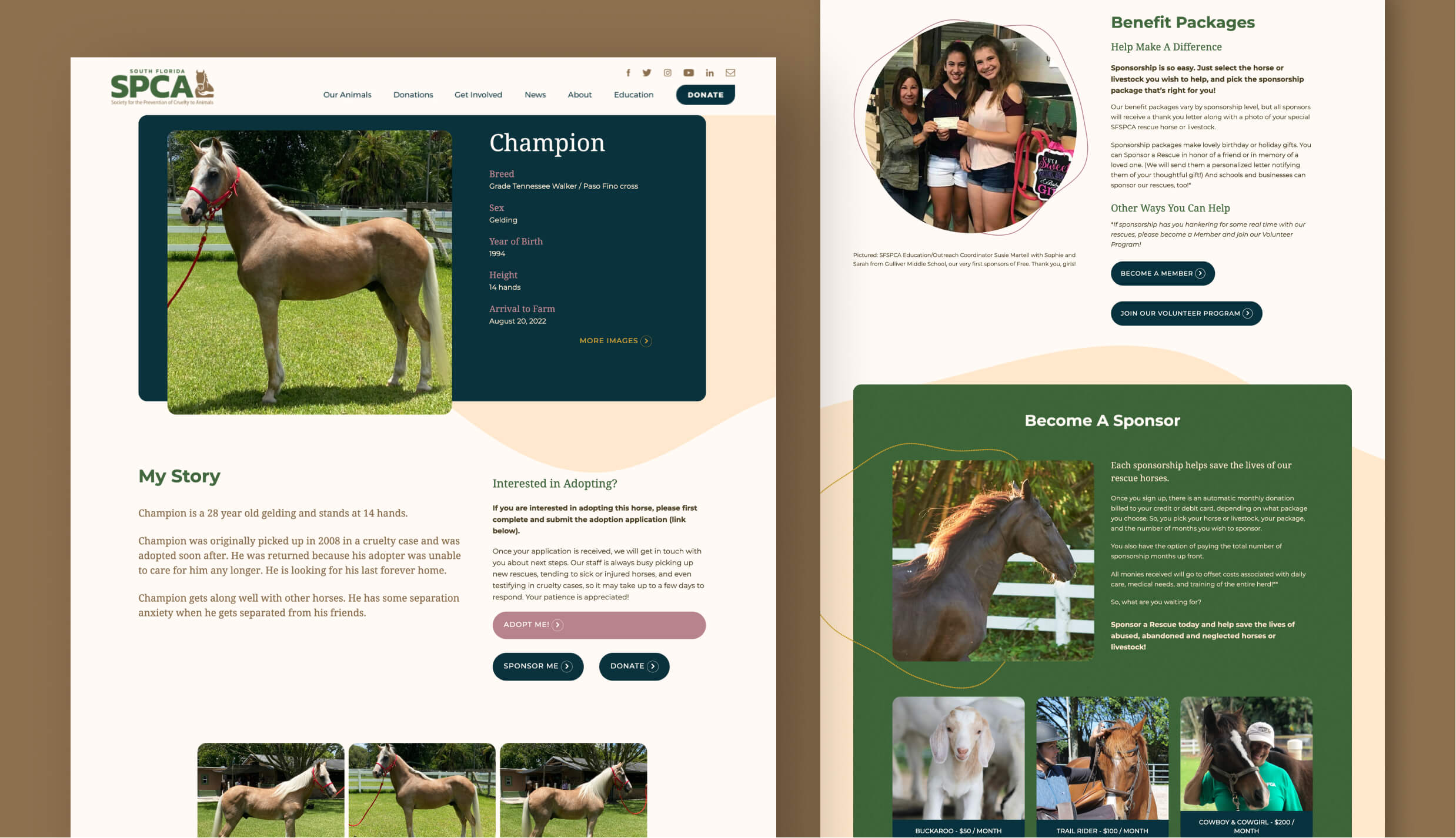 South Florida SPCA – Iconova Design